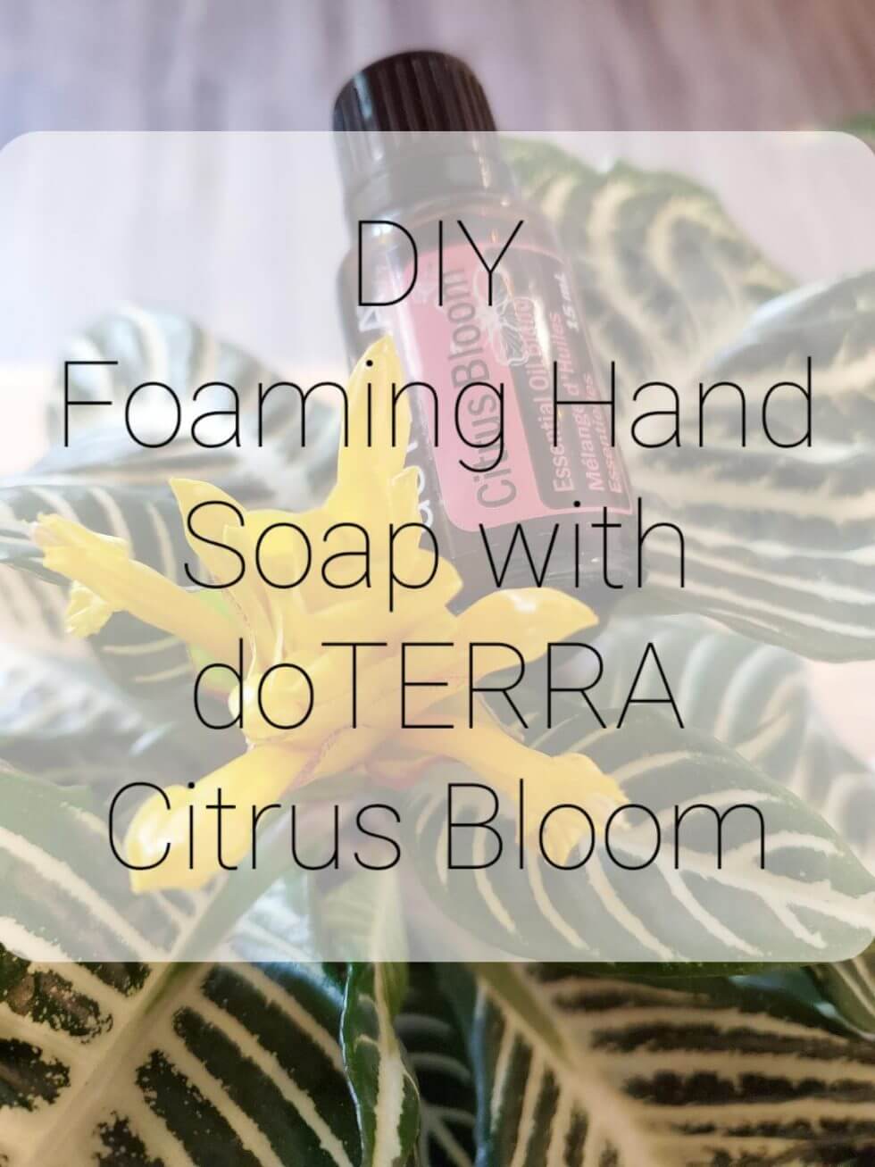 Foaming Hand Soap - Chiro By The Bay